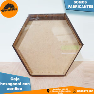 Cajas hexagonales varias - WORLD BOX
